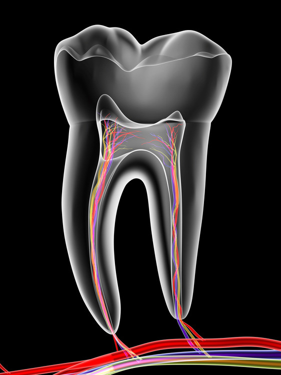 Wir packen es an der Wurzel | Zahnärzte Zentrum Hüttenberg